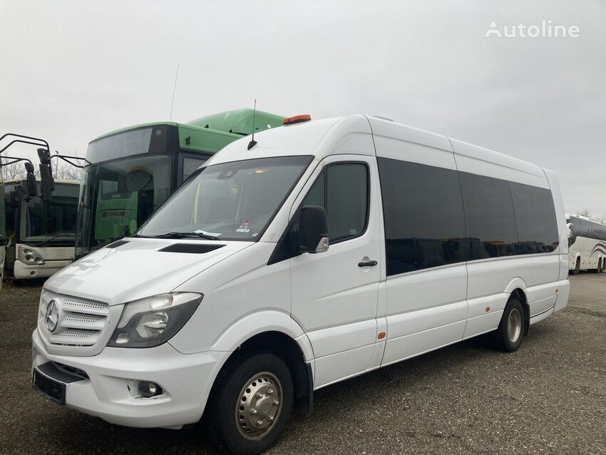 Mercedes-Benz Sprinter 519 putnički minibus