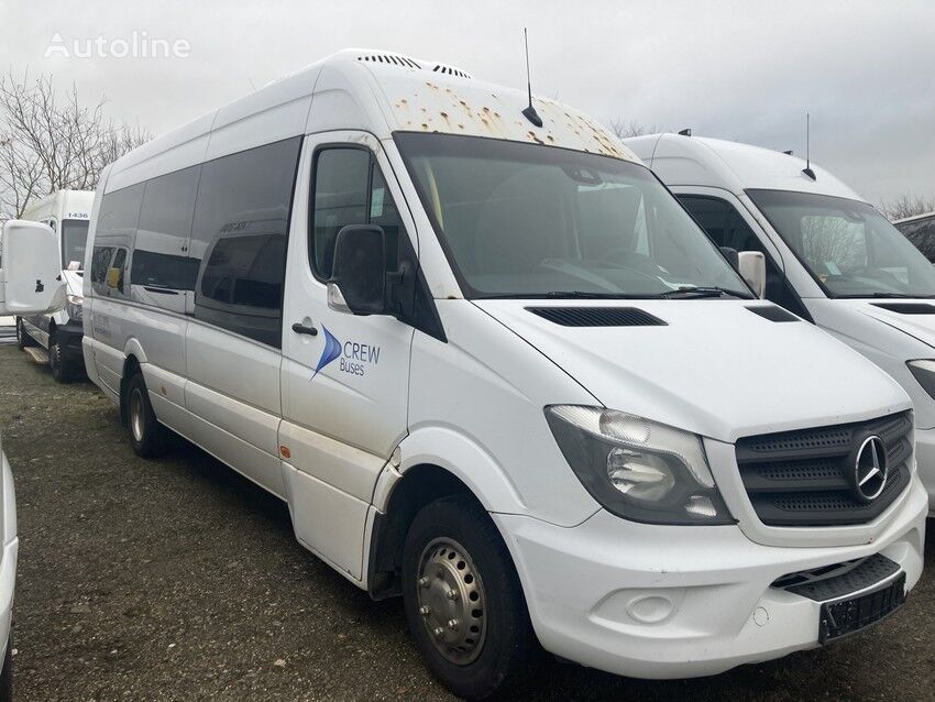 Mercedes-Benz Sprinter 519 putnički minibus