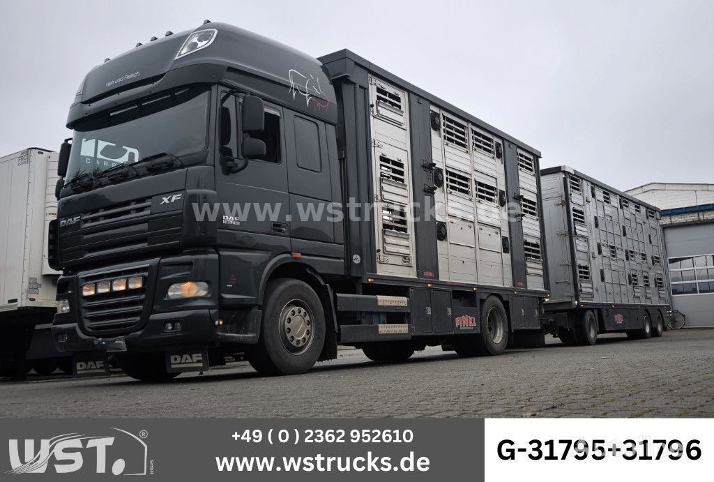 DAF XF 510 2 Stock+Finkl 3 Stock Anh. Komplett kamion za prevoz stoke + prikolica za prevoz stoke