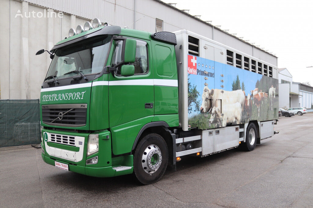 Volvo FH460 kamion za prevoz stoke