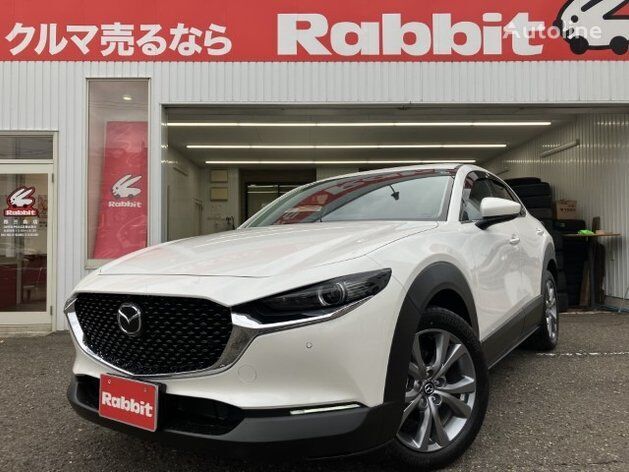 Mazda CX-3 krosover