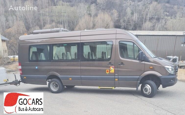 Mercedes-Benz SPRINTER 4X4 putnički minibus