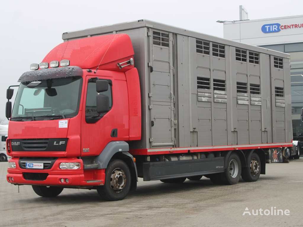 DAF LF 55.280 vozilo za prevoz stakla