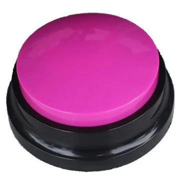 RECORD / COMMAND BUTTONS FOR DOG - PINK