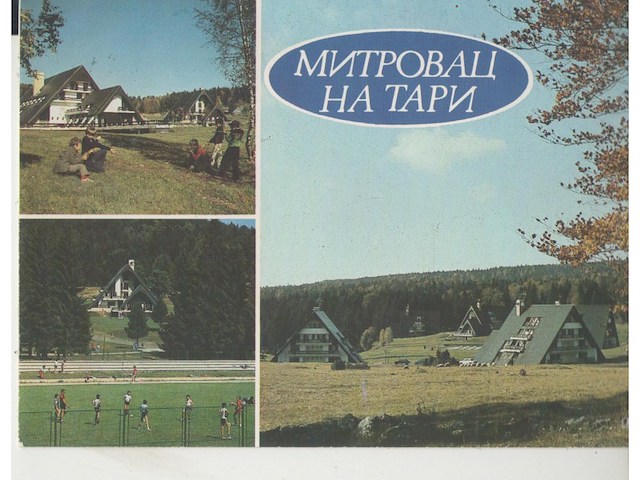 Mitrovac na Tari