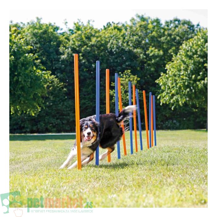 Trixie: Agility prepreka Slalom
