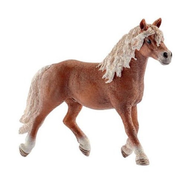 SCHLEICH HAFLINGER PASTUV