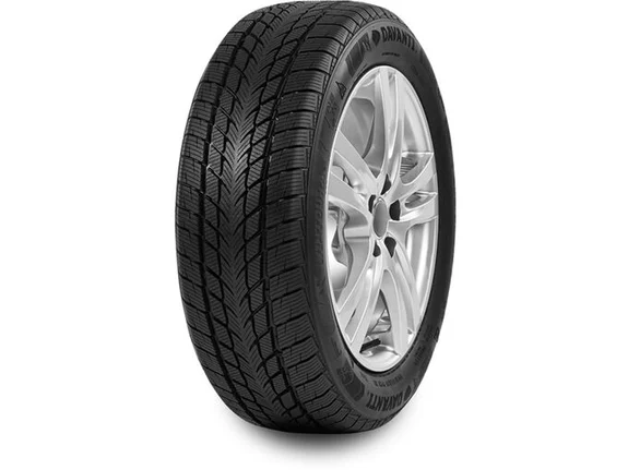 Davanti Zimska guma 185/65R14 86T Wintoura 008204