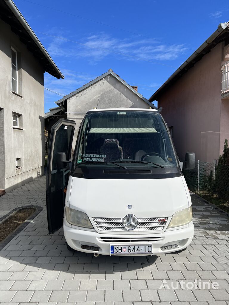 Mercedes-Benz Sprinter 419 putnički minibus