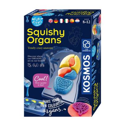 Edukativni set - Fun Science, Squichy organs