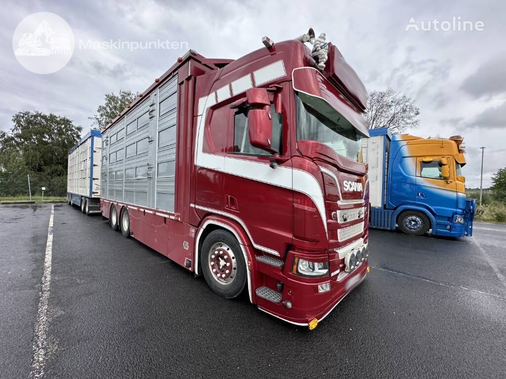 Scania R 580 Ekipage kamion za prevoz stoke