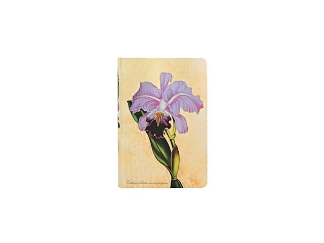 Agenda - Paperblanks, Painted Botanicals Brazilian, Orchid, Mini Lined