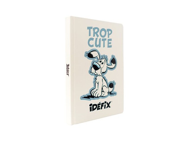 Agenda A5 Asterix Ideafix