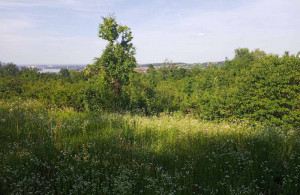 Prodajem Građevinsko Zemljište, Popovica, Novi Sad Okolica