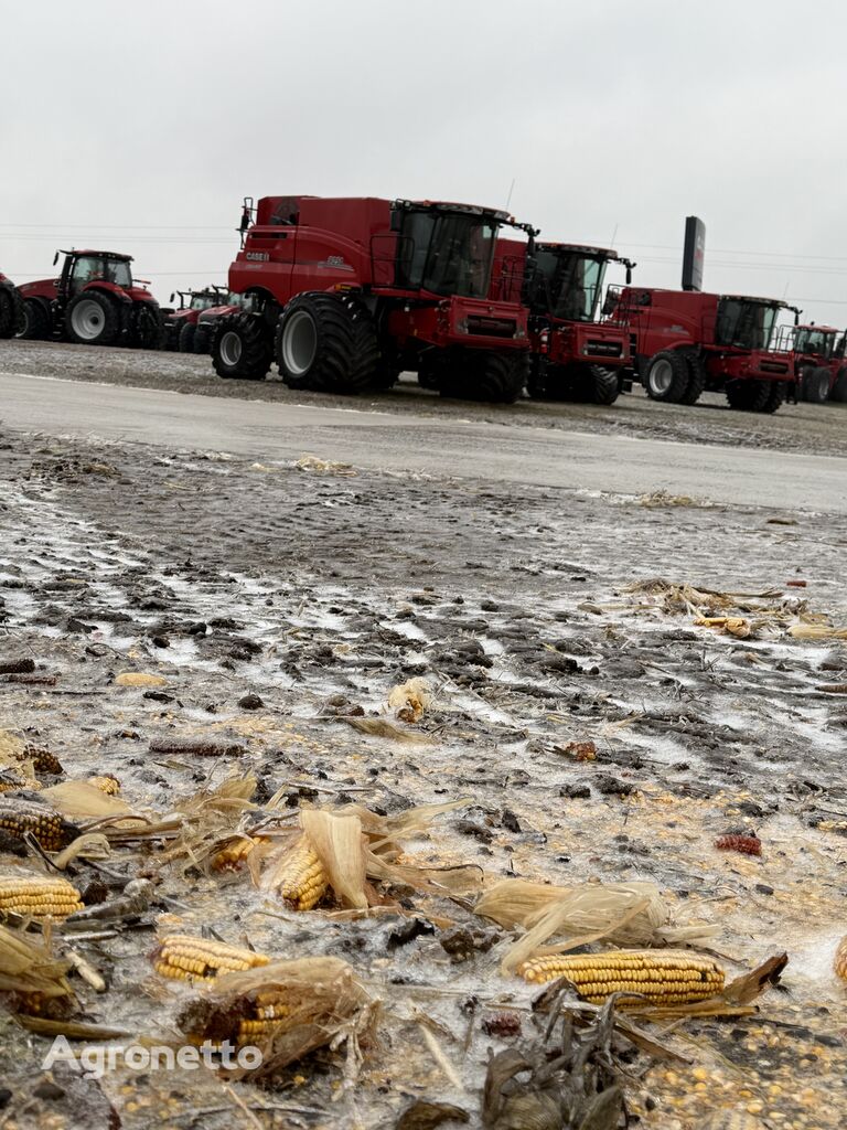 Case IH 6088 kombajn za žito