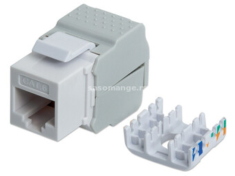 Modul RJ45 Intellinet 167062 Cat6/tool-less/568B 2-1/beli