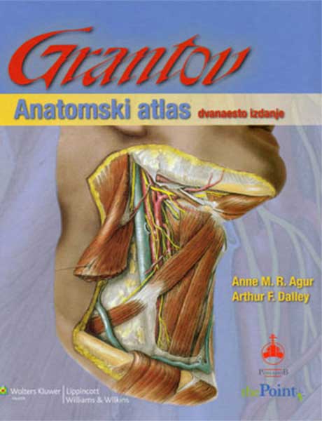 Anatomski atlas – Grant