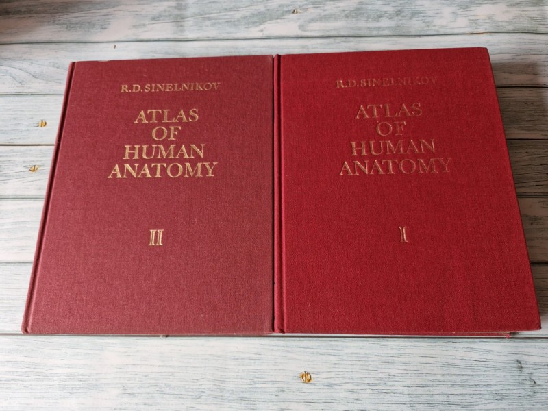 ATLAS OF HUMAN ANATOMY 1 - 2 - SINELNIKOV