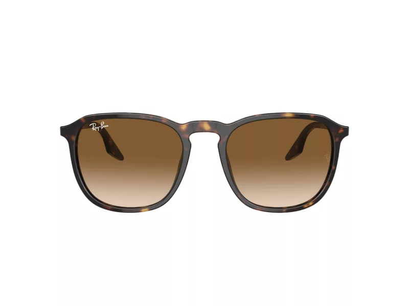 Ray-Ban Naočare za sunce RB 0RB2203 902/51