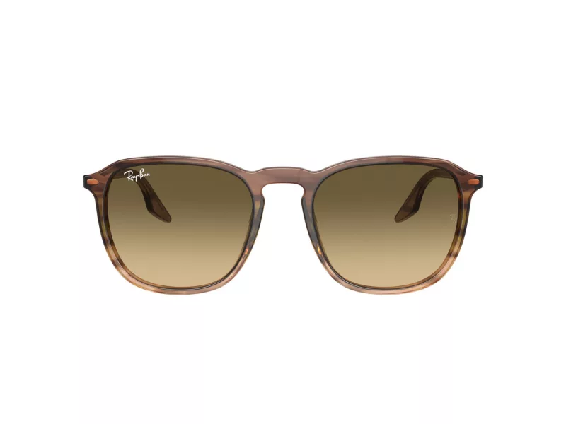 Ray-Ban Naočare za sunce RB 0RB2203 13920A