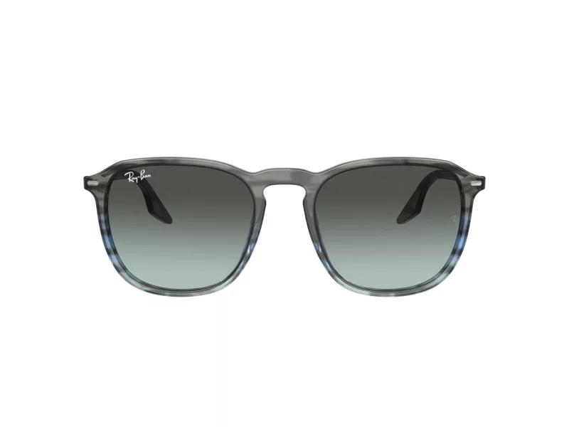 Ray-Ban Naočare za sunce RB 0RB2203 1391GK