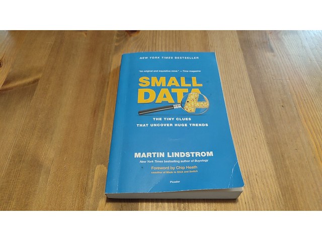 Martin Lindstrom, Small Data