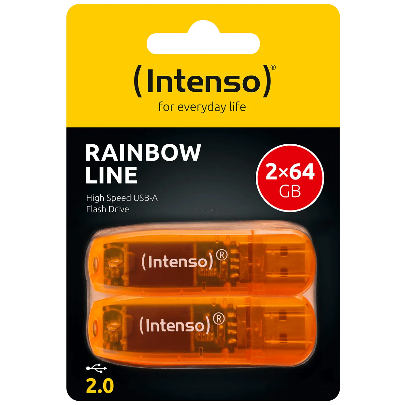 INTENSO USB Flash drive Hi-Speed USB 2.0 USB2.0-64GB/Rainbow, 64GB, Rainbow Line, 2 komada