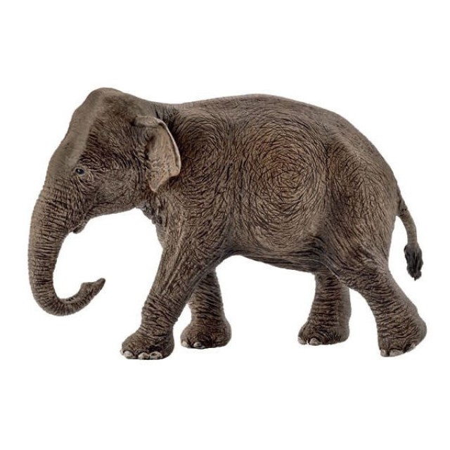 SCHLEICH AZIJSKI SLON ZENKA 14753