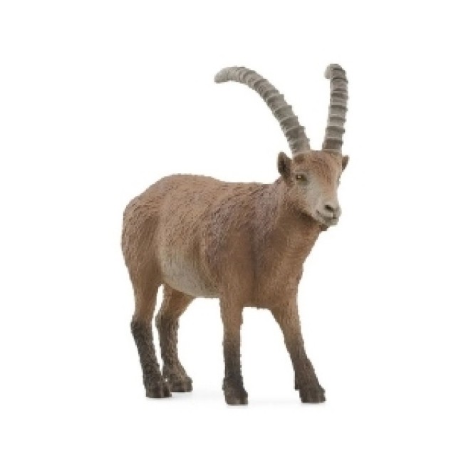 SCHLEICH KOZOROG 14873