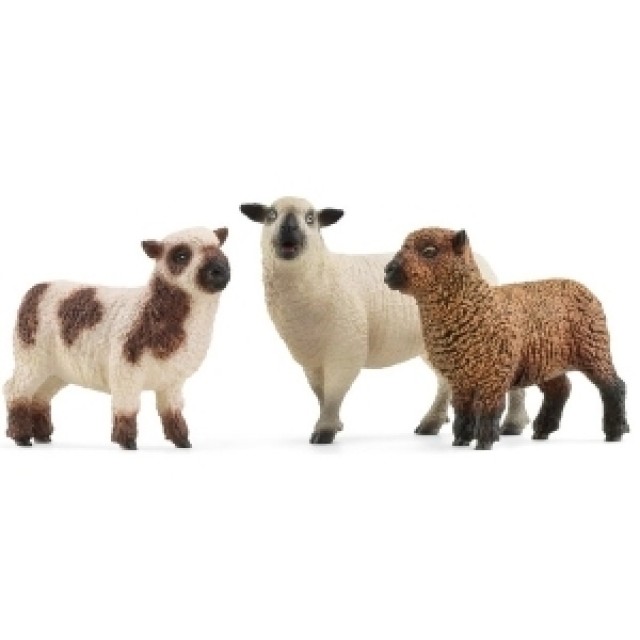 SCHLEICH SET OVCI 42660