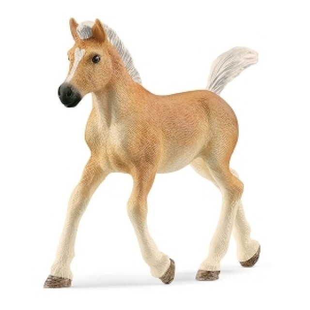 SCHLEICH ZDREBE HAFLINGER 13951