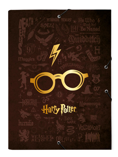 Organajzer - Harry Potter, Harry Potter, 12 dpt, elastic