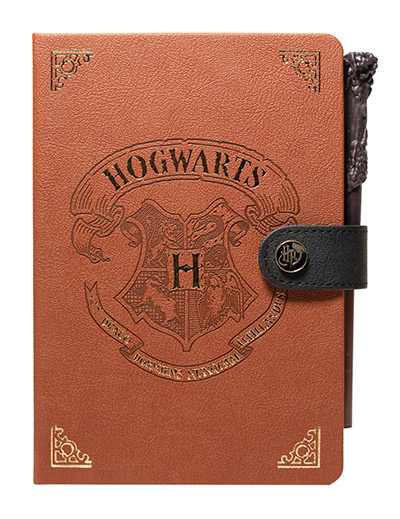 Agenda A5 sa hemijskom - Harry Potter, Harry Potter