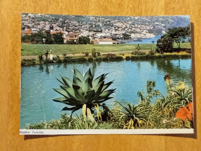 Portugal - Madere Funchal - Čista -