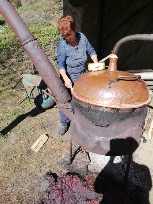 Prodajem domaću rakiju šljivovicu