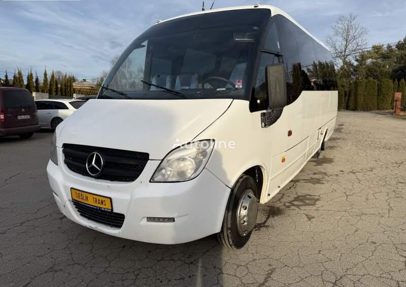 Mercedes-Benz WING 818 putnički minibus