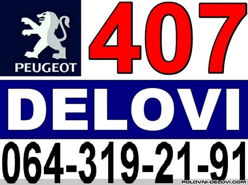 Peugeot 407 MENJAC KORPA LAMELA DRUK LEZAJ