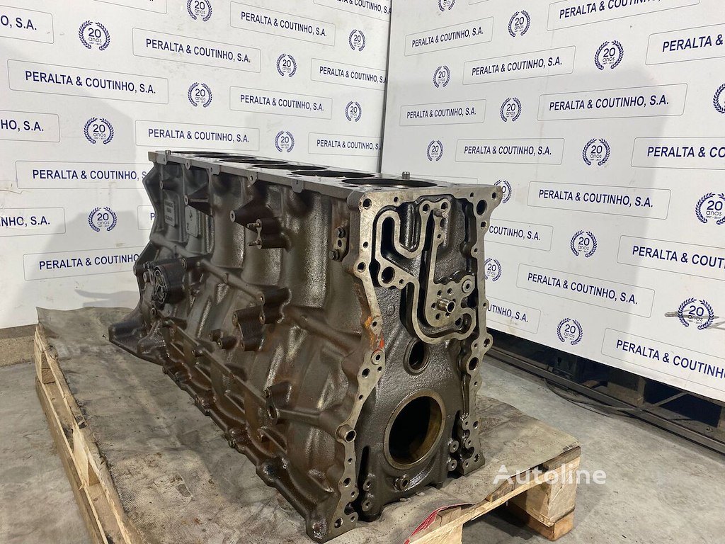 Renault N/d / DXI11 Bloco do Motor 21170630 blok cilindara za kamiona