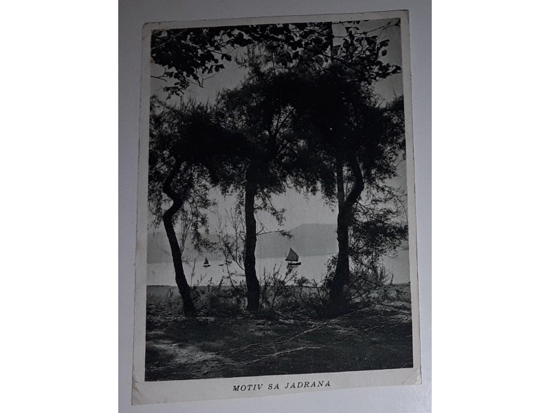 Motiv sa Jadrana 1949 g. - Putovala