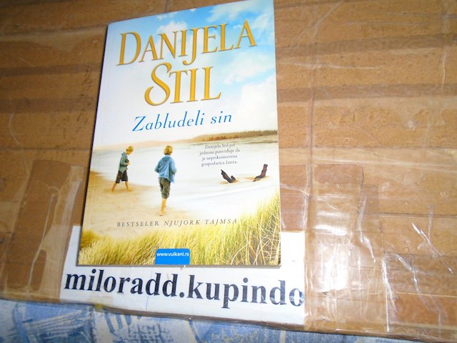 Zabludeli sin Danijela Stil