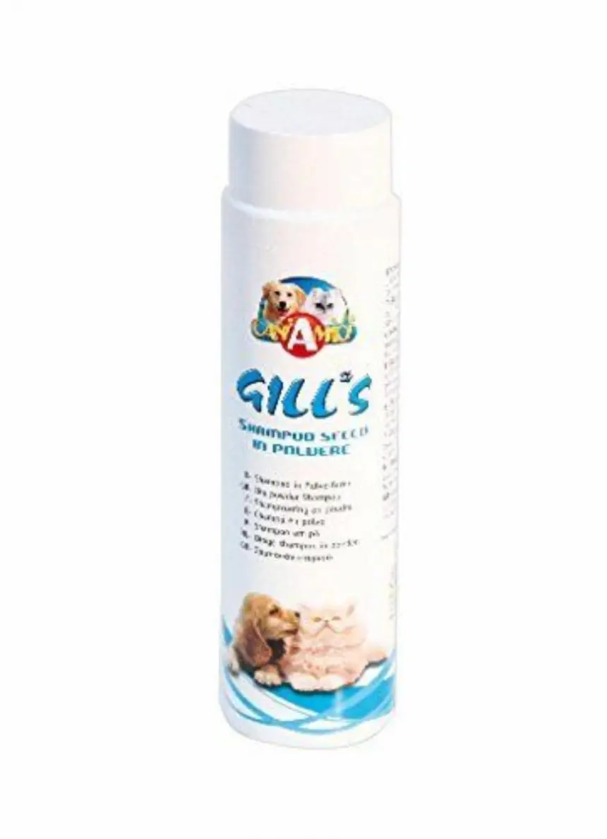 GILLS sampon suvi 200 ml.