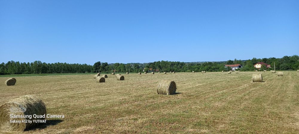 Prodajem rolo bale deteline-lucerke