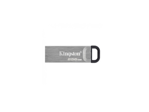 Kingston 265GB DT USB 3.2 Kyson DTKN 256GB srebrni (DTKN256GB)