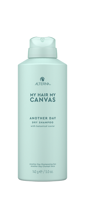 Canvas Another Day Dry Shampoo 142 ml