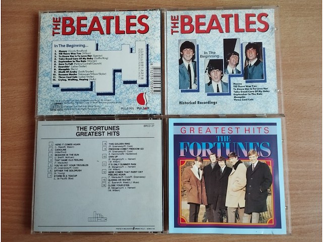 The Beatles+TheFortunes -In the Beginning+Greatest Hits