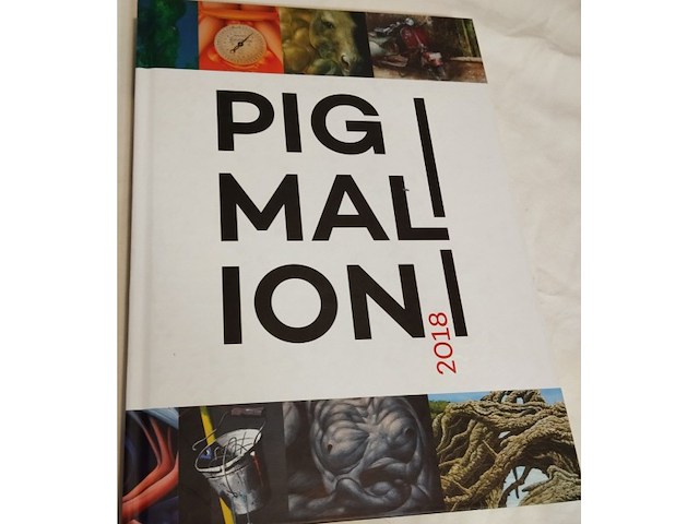 PIGMALION 2018  Slikari