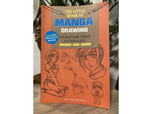 The Little BOOK OF MANGA DRAWING