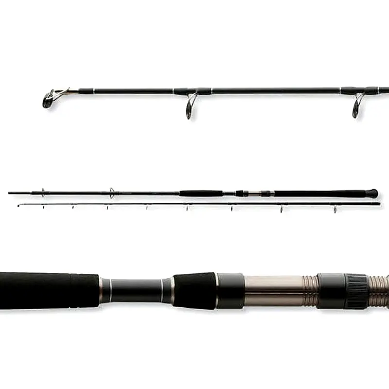 DAIWA EXCELER CATFISH 2,70 200-600 (11818-275)