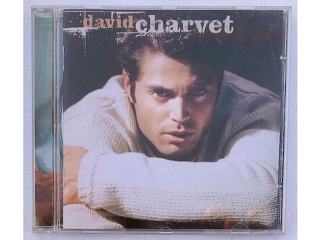 David Charvet – David Charvet