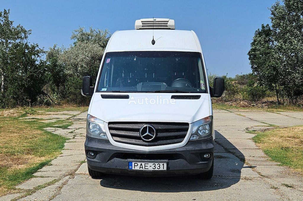 Mercedes-Benz Sprinter 316 minibus hladnjača